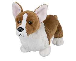 There’s a NEW Rockerz in town: the very sweet Rockerz Coyote! | WKN ...